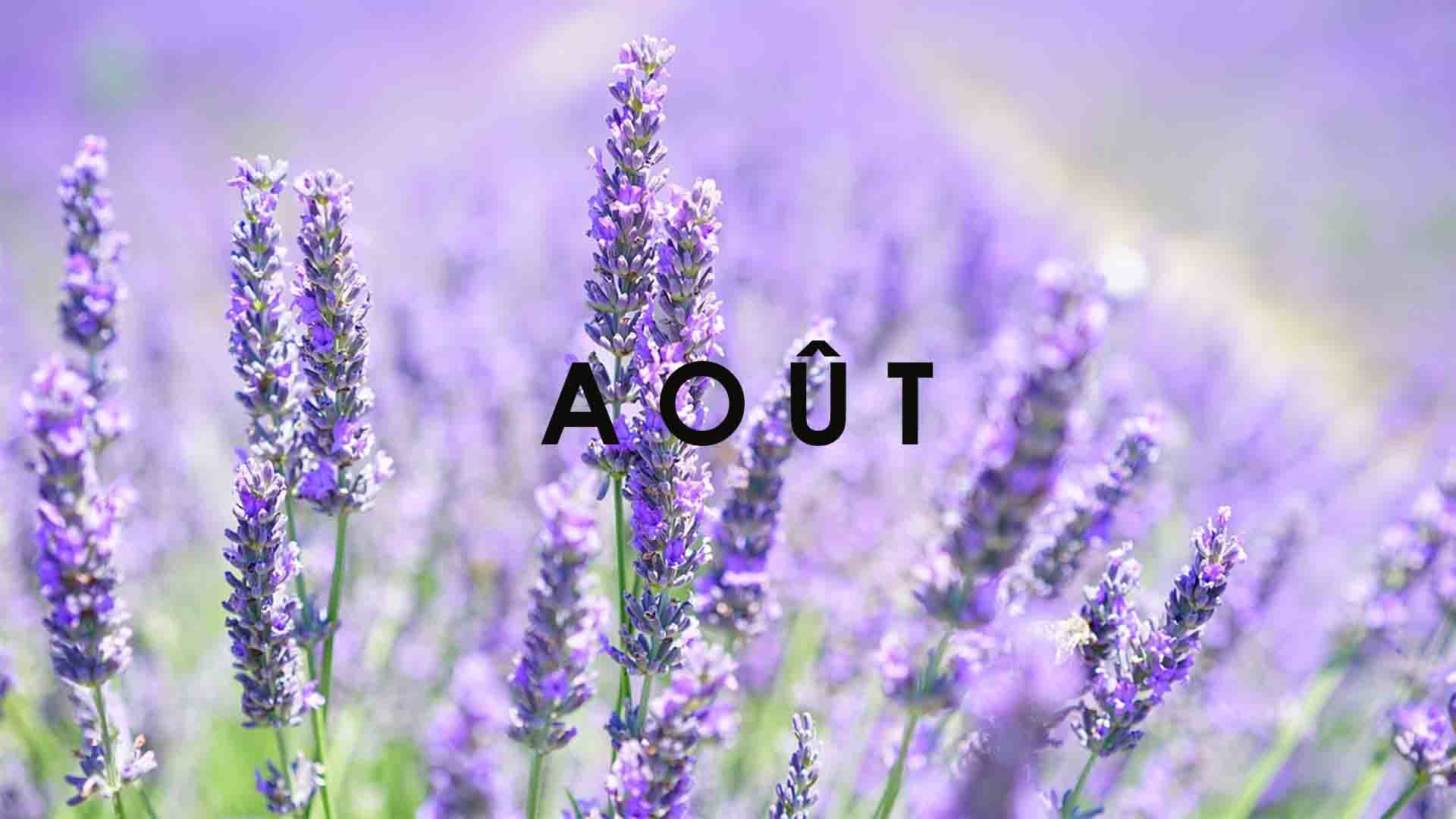 Recettes100faim - Plaisir et santé au quotidien | Margaux Letort