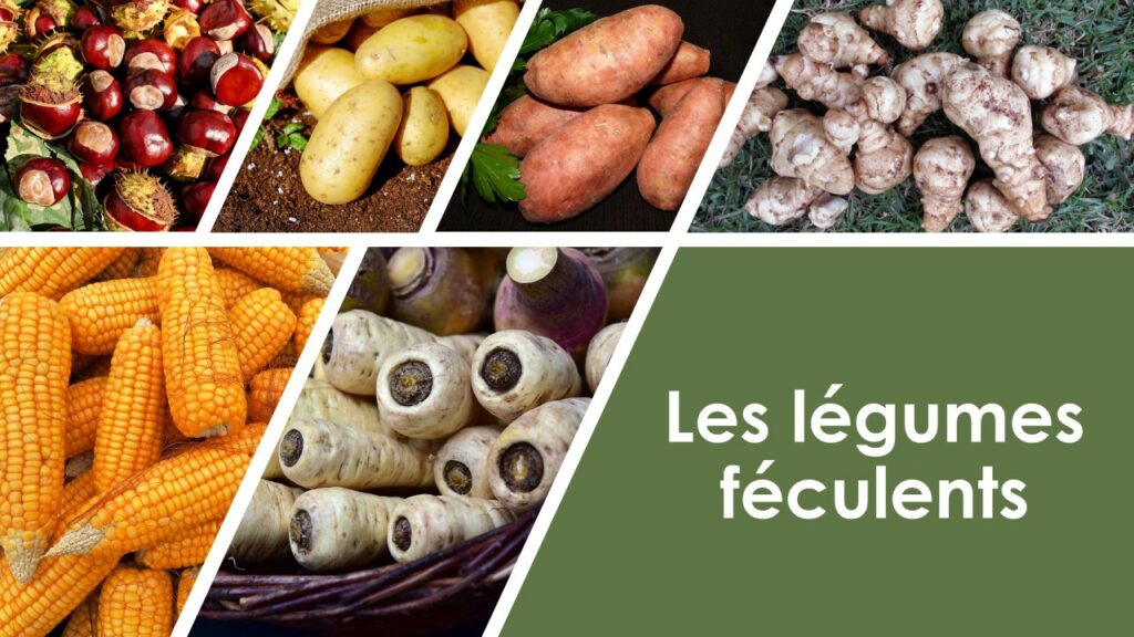 Quels sont les légumes féculents ? | Recettes100faim