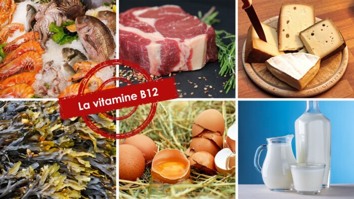 Vitamine B12 besoins rôles carences et apports | Recettes100faim