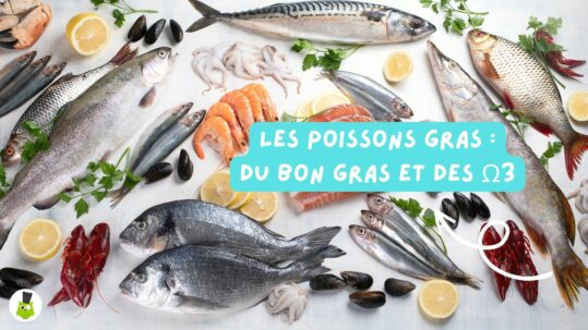 Les poissons gras : du bon gras et des Ω3 | Recettes100faim
